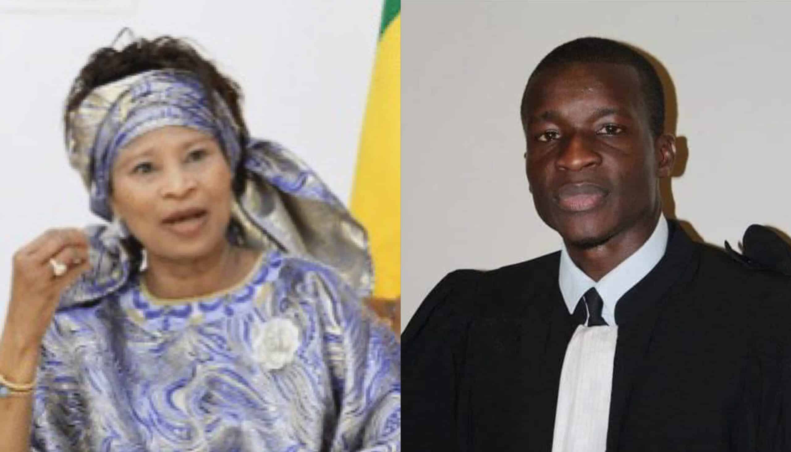 Assemblée nationale : Me Aïssata Tall Sall prodigue une leçon de droit ...